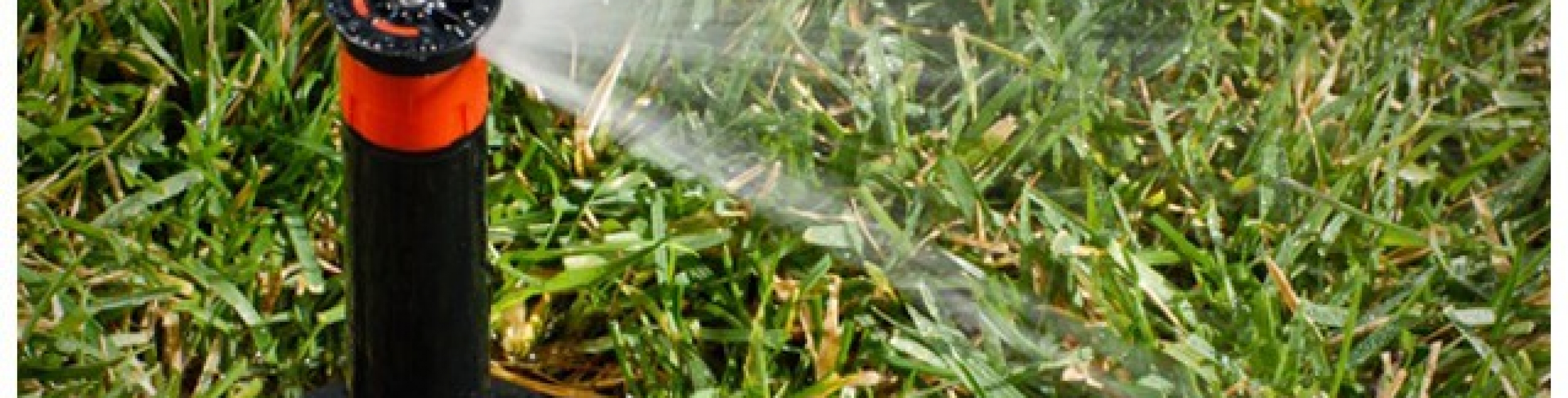 Greenhouse Irrigation Systems - Sprinkler Irrigation Systems Ltd