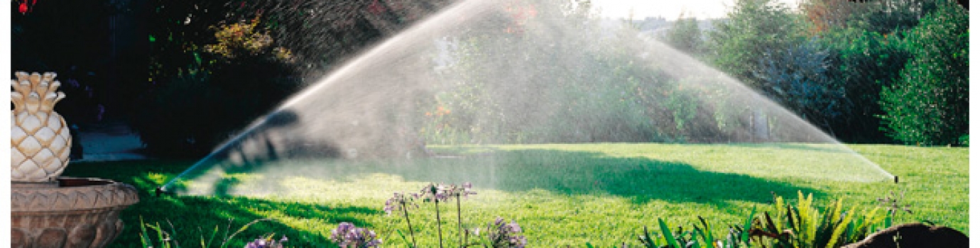 Greenhouse Irrigation Systems - Sprinkler Irrigation Systems Ltd
